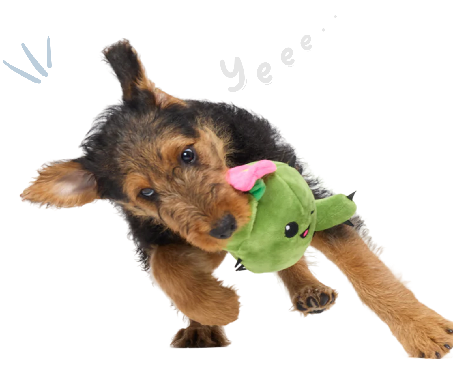 BARK UK